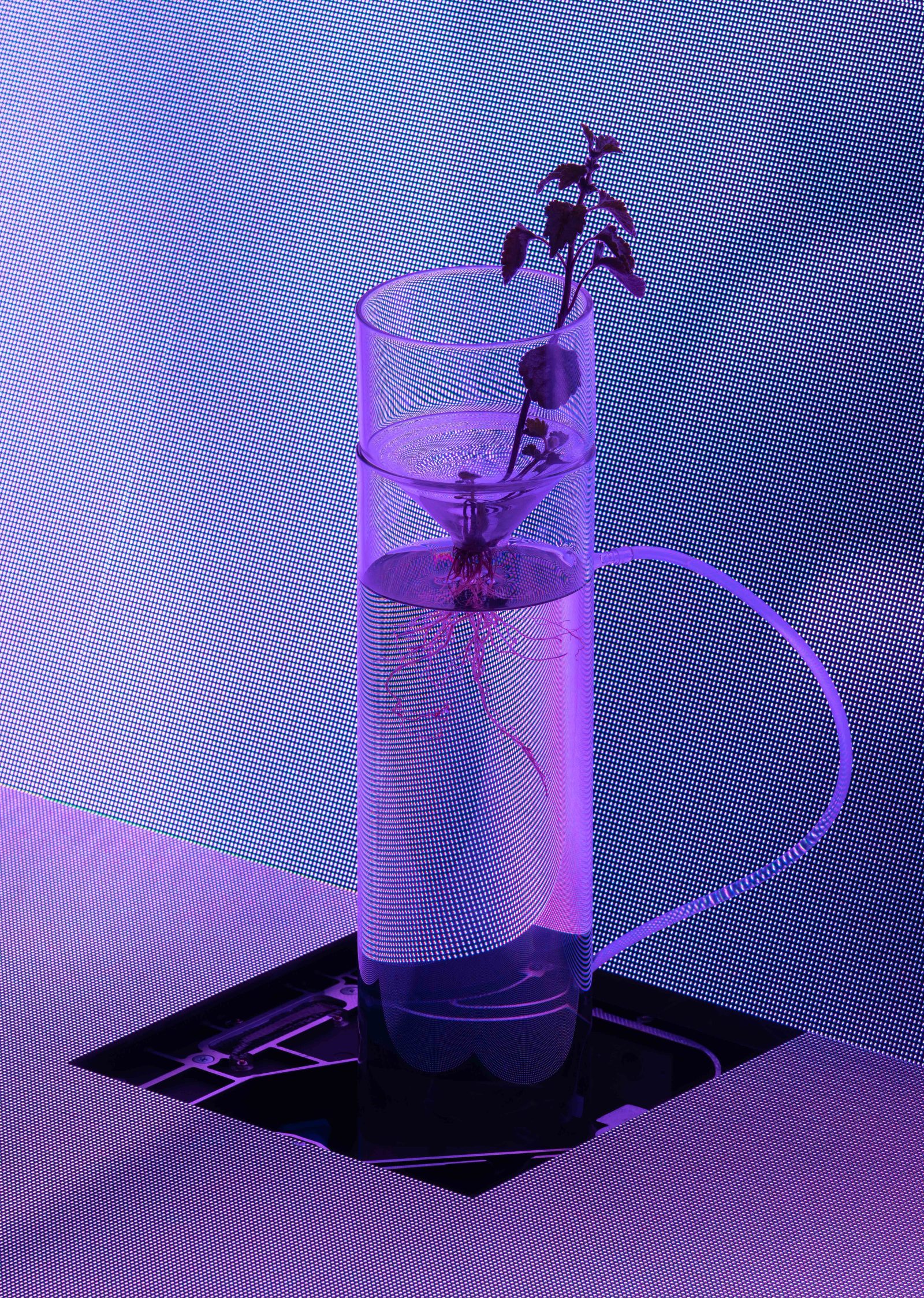 Jesper Just | Online presentation - Nicolai WallnerNicolai Wallner